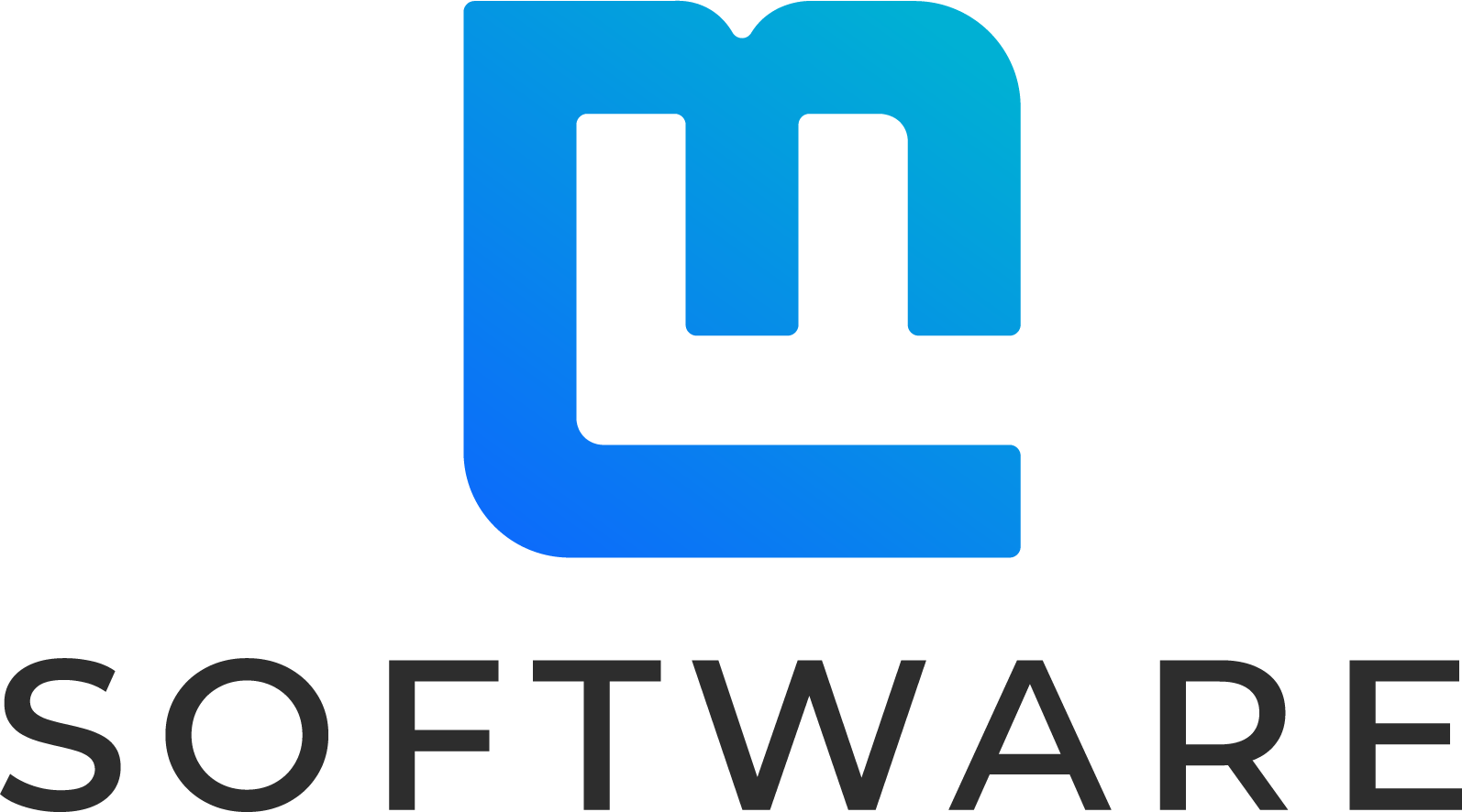 MF Software - Trasforma le tue idee in realtà